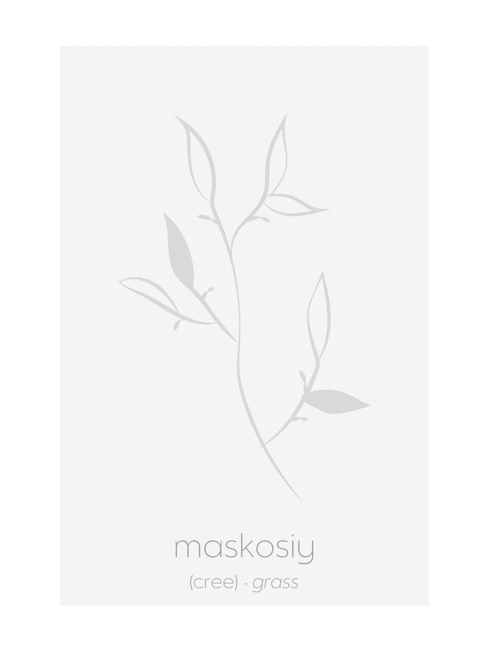 Minimalist Cree Plants and Trees Art Print Set – EagleWomanPrints