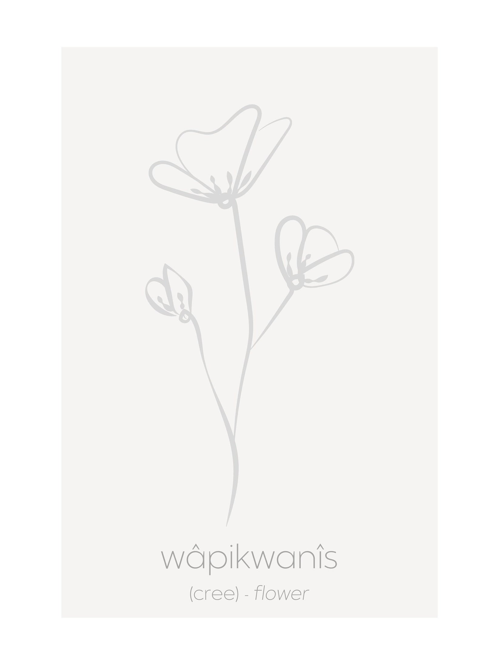 Minimalist Cree Plants and Trees Art Print Set – EagleWomanPrints