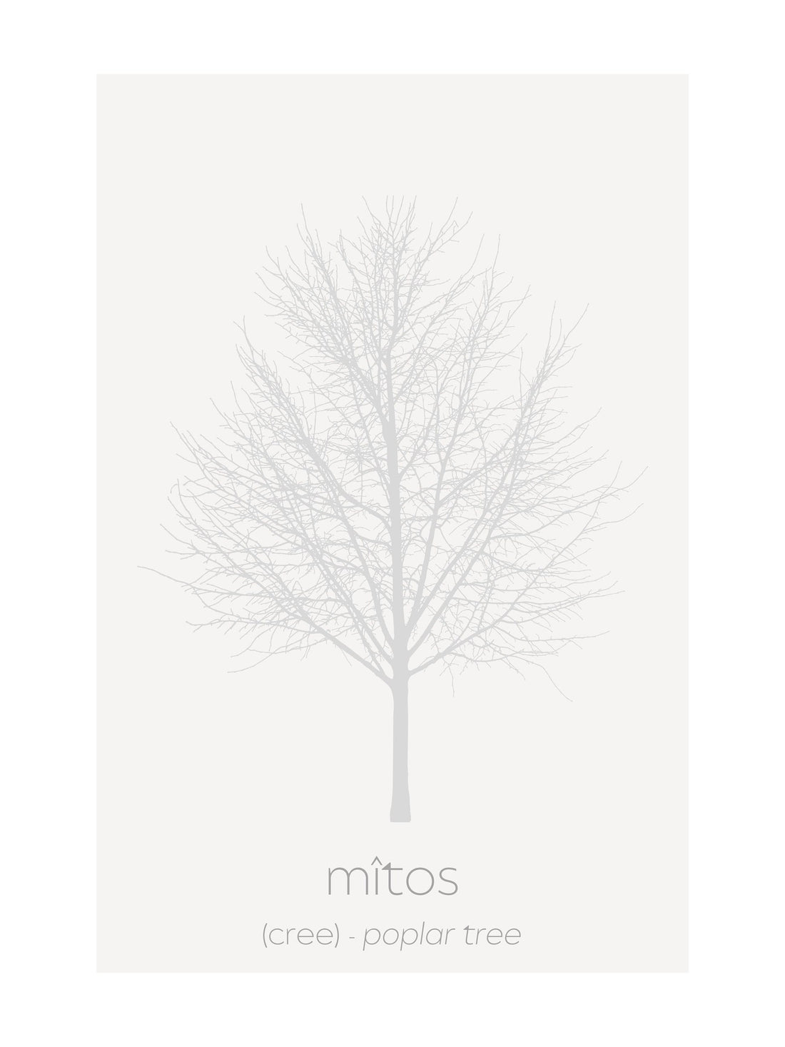 Minimalist Cree Plants and Trees Art Print Set – EagleWomanPrints